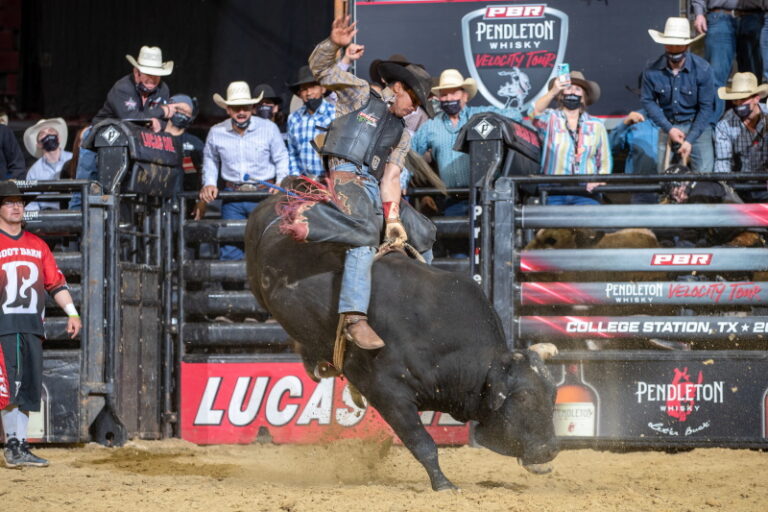 A Beginners Guide To Professional Bull Riding - The Gentleman Racer